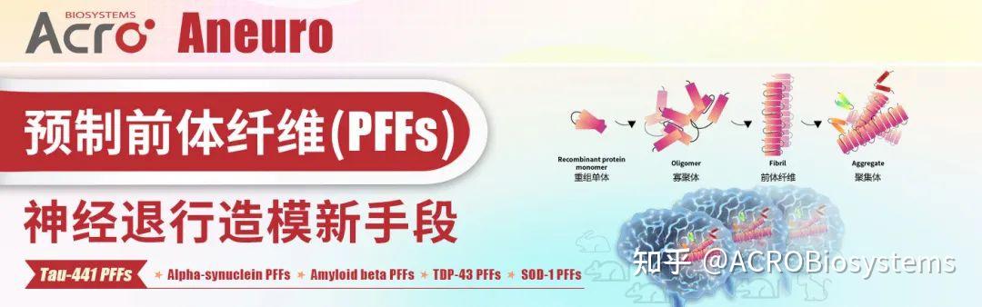 【Aneuro重磅新品】A-Syn PFFs，助力打造帕金森疾病模型 - 知乎