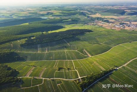 可能是最全的夏布利Chablis详解（2）——夏布利的一级田和特级田 - 知乎