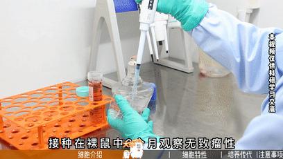 GES-1细胞培养，人胃黏膜细胞培养攻略-丰晖生物 - 知乎