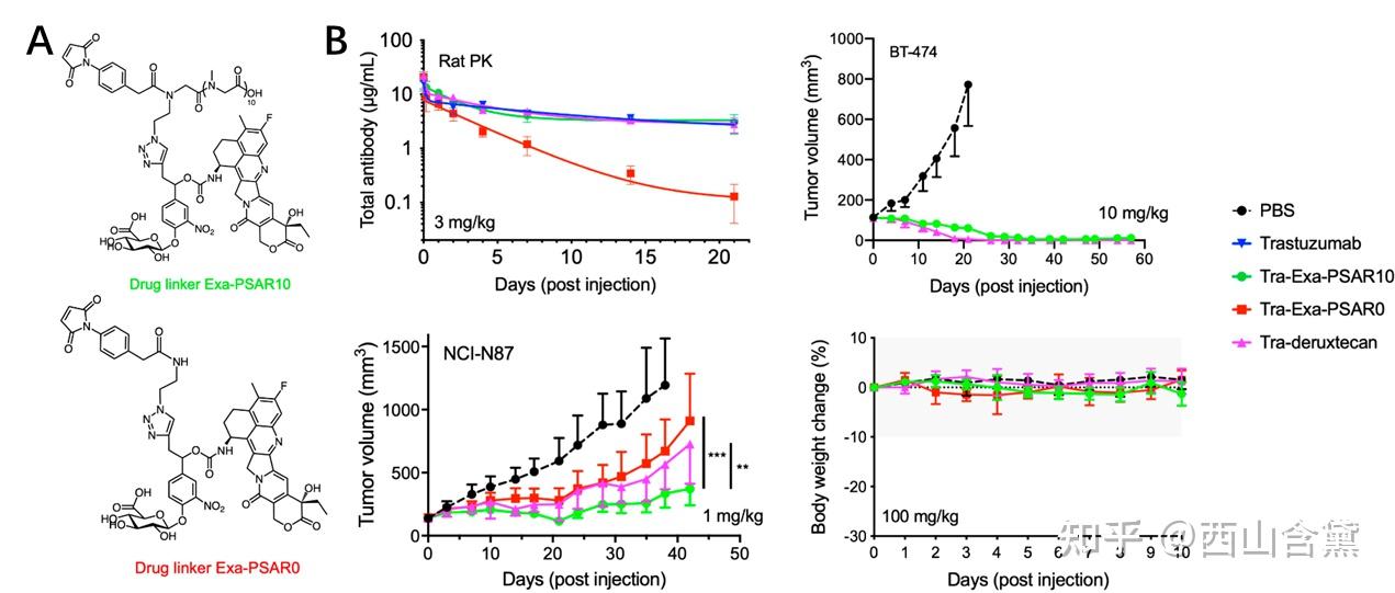 Beyond PEGylation：聚肌氨酸(Polysarcosine)在ADC领域的应用 - 知乎