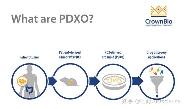 PDX和PDO我知道了，什么是PDXO？ - 知乎