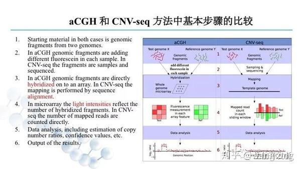 CNV数据分析 - 知乎
