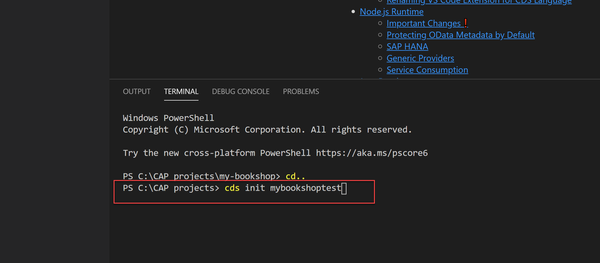 SAP CAP 案例具体步骤 - 知乎