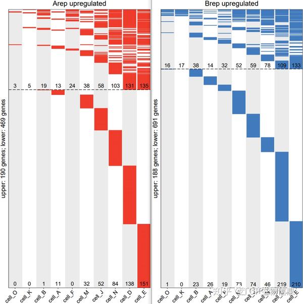 【单细胞高级绘图】03.两组比较_差异基因数目展示 - 知乎