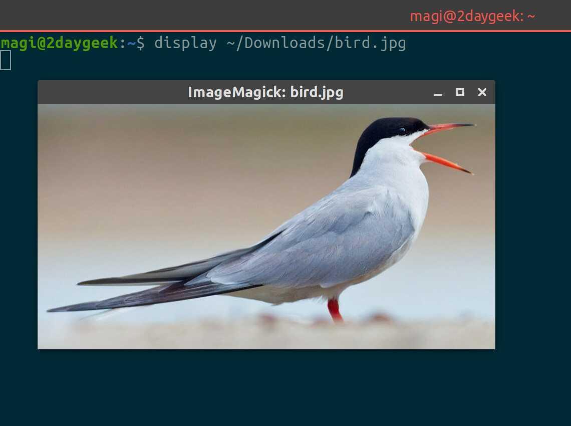 Linux Linux linux-linux