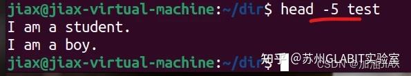 Linux实现查看文件内容的5种方式 知乎
