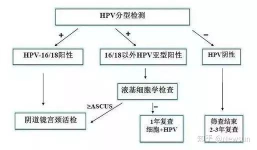 宫颈癌筛查选TCT还是HPV？ - 知乎