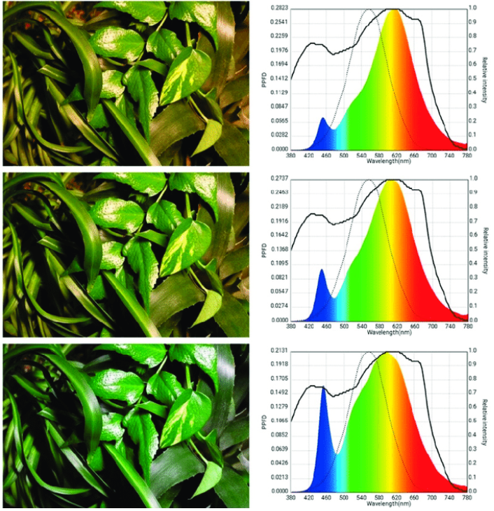 Understanding Light and Color - 知乎