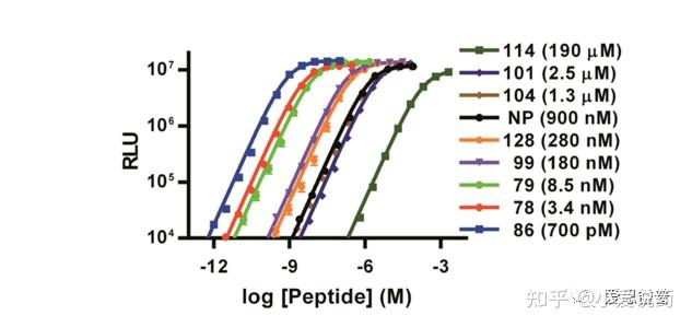 《爱求索》PROTAC平台之HiBiT - 知乎