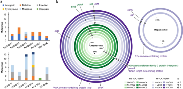 ISME | 南农沈其荣团队研究揭示土壤细菌挥发物通过进化权衡减弱植物病原菌毒力！ - 知乎