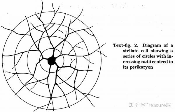 ImageJ实用技巧——Sholl Analysis（一）(插件篇) - 知乎