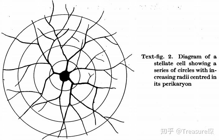 ImageJ实用技巧——Sholl Analysis（一）(插件篇) - 知乎