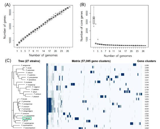 一文了解细菌基因组的比较基因组测序 - 知乎