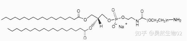 DSPE-PEG2K-NH2，磷脂PEG氨基，DSPE-PEG-amine - 知乎