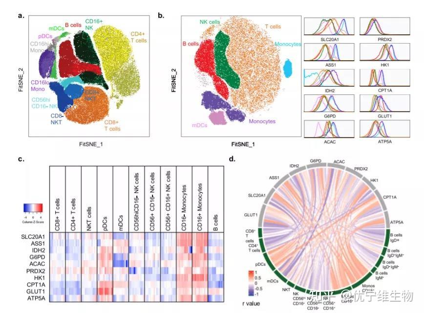 【优方案】TIL肿瘤浸润淋巴细胞——Cell Based Solution - 知乎