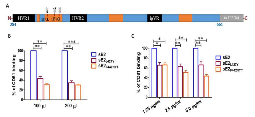 【耀文解读】mRNA应用篇|编码HCV E1/E2的丙肝mRNA疫苗可诱导免疫保护 - 知乎