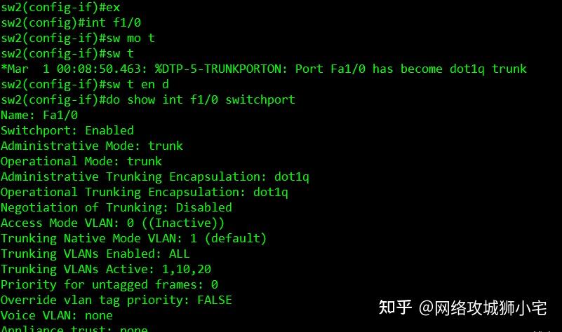 Trunk原理和操作 - 知乎