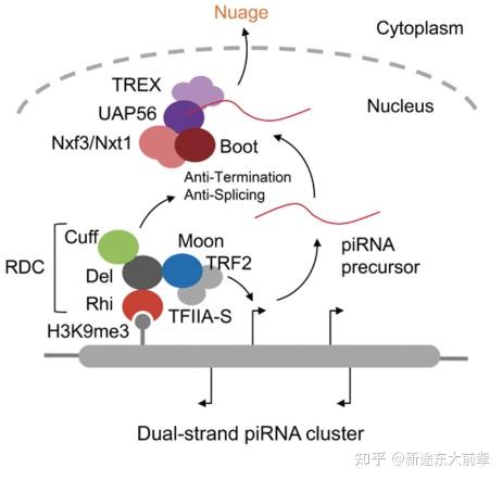 【留学干货】东京大学日本生命科学•生物类专业及实验室介绍 - 知乎