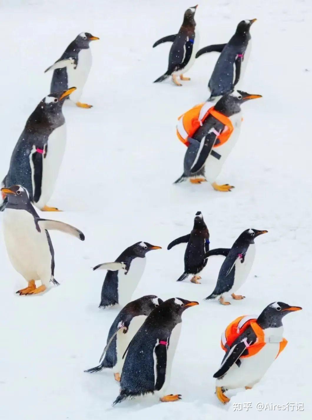 跟着0713男团打卡哈尔滨，真的太快乐了！ - 知乎