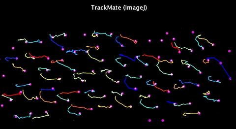 image J教程汇总？ - 知乎