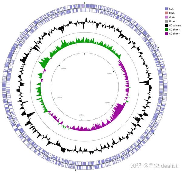 神秘的细菌基因组：GC skew - 知乎