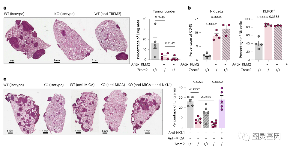 Nat Immu | 巨噬细胞抑制肺癌中NK细胞的募集和激活 - 知乎