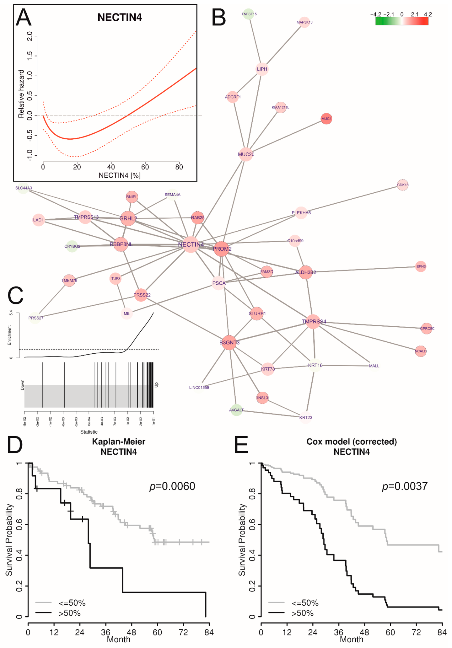 Nectin-4：卵巢癌粟粒样转移的重要ADC靶点 - 知乎