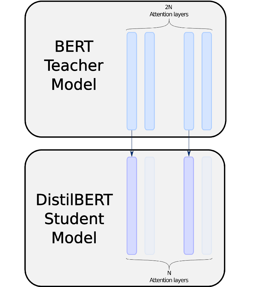 BERT 模型的知识蒸馏： DistilBERT 方法的理论和机制研究 - 知乎