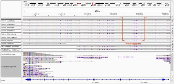 Nat Biotechnol | 大神李恒团队开发不依赖于亲本的单倍型基因组组装工具hifiasm - 知乎