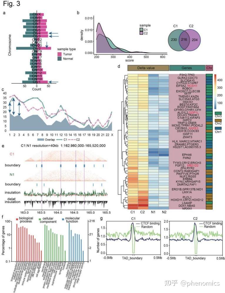 Phenomics | 四川大学华西医院张立和李为民团队利用Hi-C技术鉴定揭示了肺腺癌组织中的晚期结构变异 - 知乎