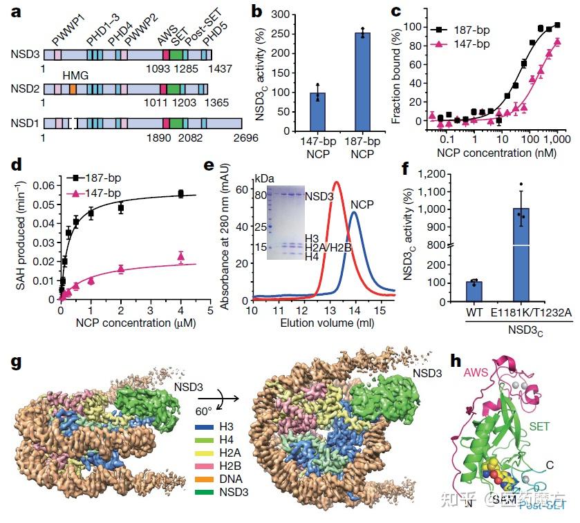两篇Nature抗癌新突破：表观遗传新靶点——NSD3 - 知乎