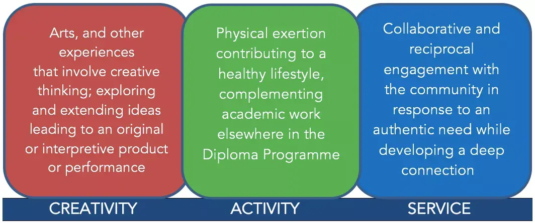IB文凭课程中的CAS活动到底是什么？又该如何完成？ - 知乎