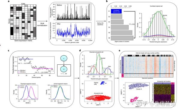 copyKAT-推断单细胞转录组肿瘤细胞CNV - 知乎
