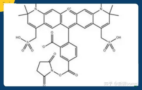 红色荧光染料AF 594活性酯,Alexa Fluor 594 NHS ester,CAS:295348-87-7 - 知乎