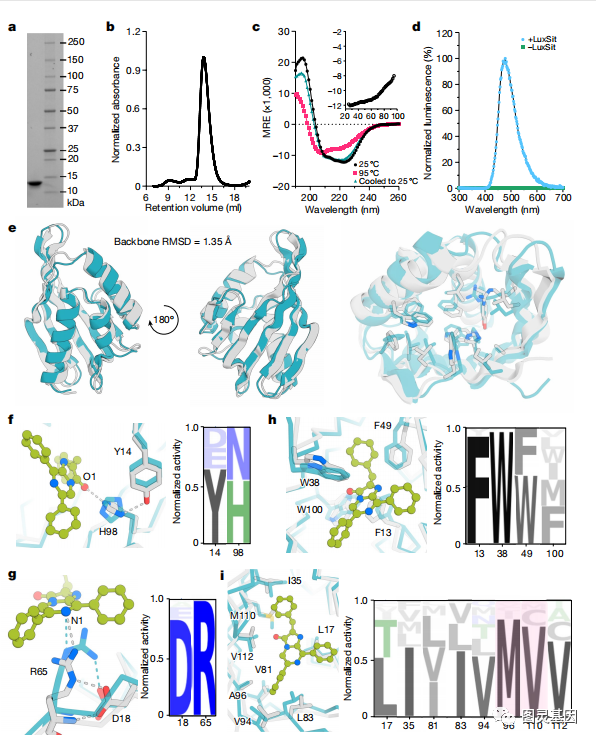Nature | 让AI发挥“想象力”，从头设计荧光素酶 - 知乎