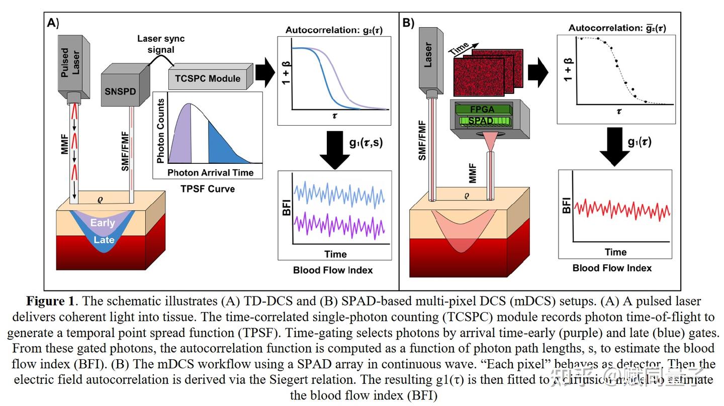突破脑血流监测瓶颈：从SNSPD到SPAD相机的无创革命 - 知乎