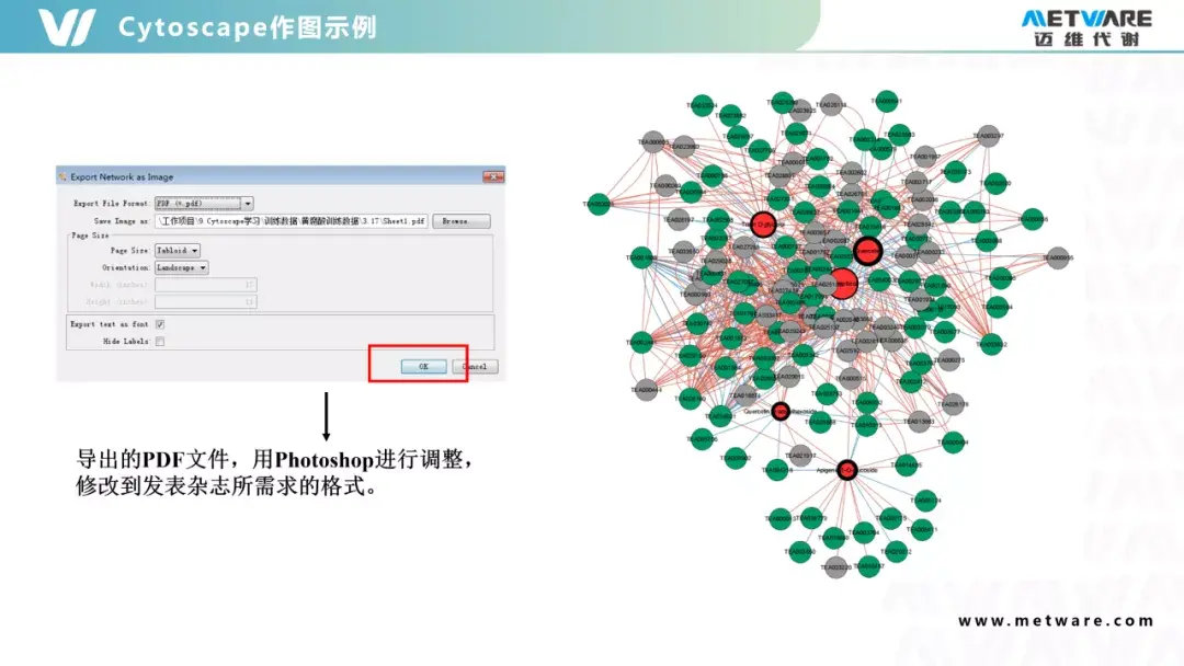 转录组+代谢组专题 | cytocape绘图操作 - 知乎