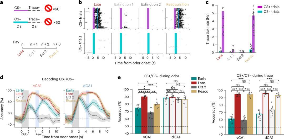 Nat Neurosci：海马参与关联记忆编码过程 - 知乎