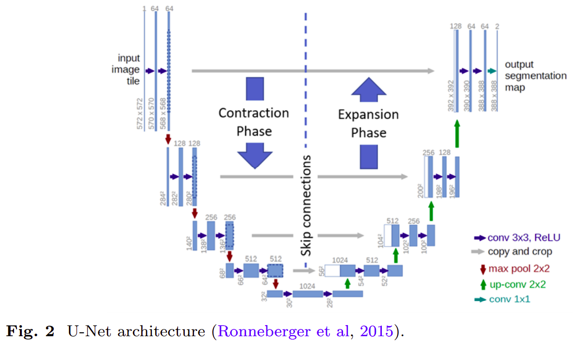 【arXiv:2112】BT-Unet：使用 Barlow Twins 和 U-Net 模型进行生物医学图像分割的自监督学习框架 - 知乎