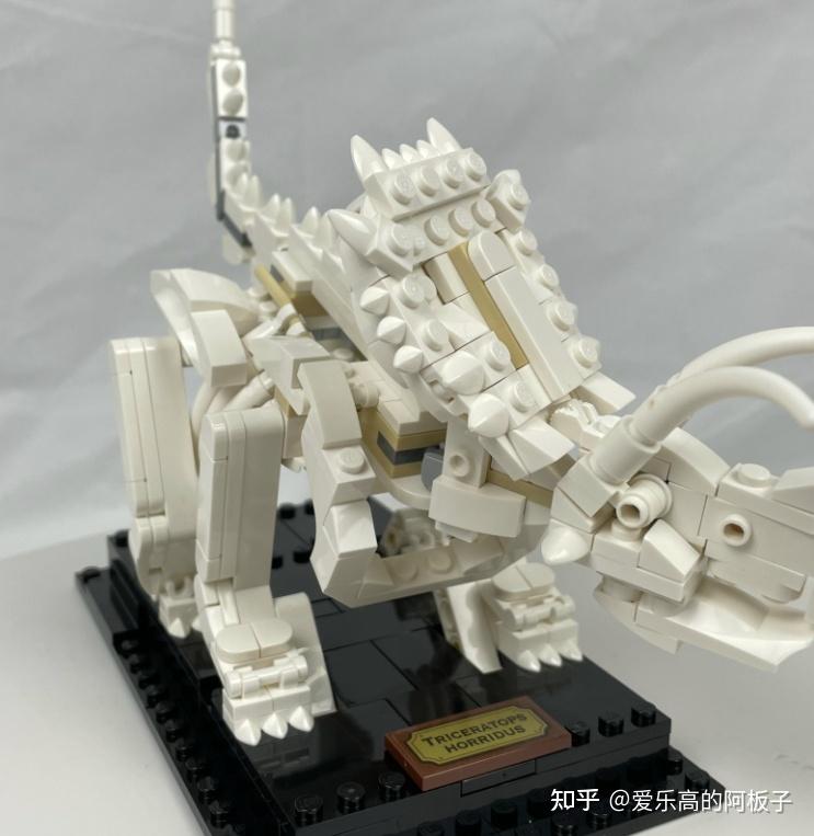 【乐高LEGO精品评测】21320 · 恐龙化石（欢迎来到侏罗纪世界！） - 知乎