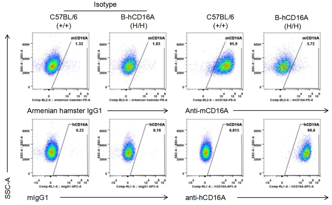 靶向CD16A，激活先天免疫系统的ADCC效应 - 知乎