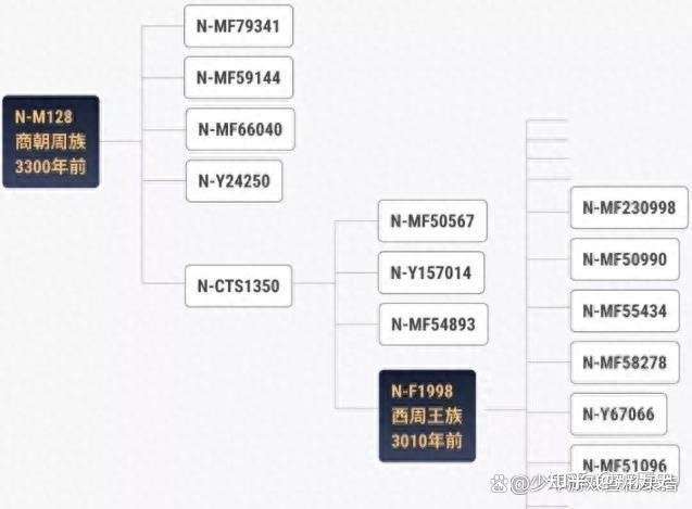 西周姬姓人基因N系 - 知乎