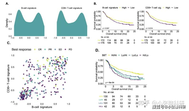 文献详解丨徒手发一篇8+免疫治疗文章，师姐亲授的经验还不来看下？ - 知乎