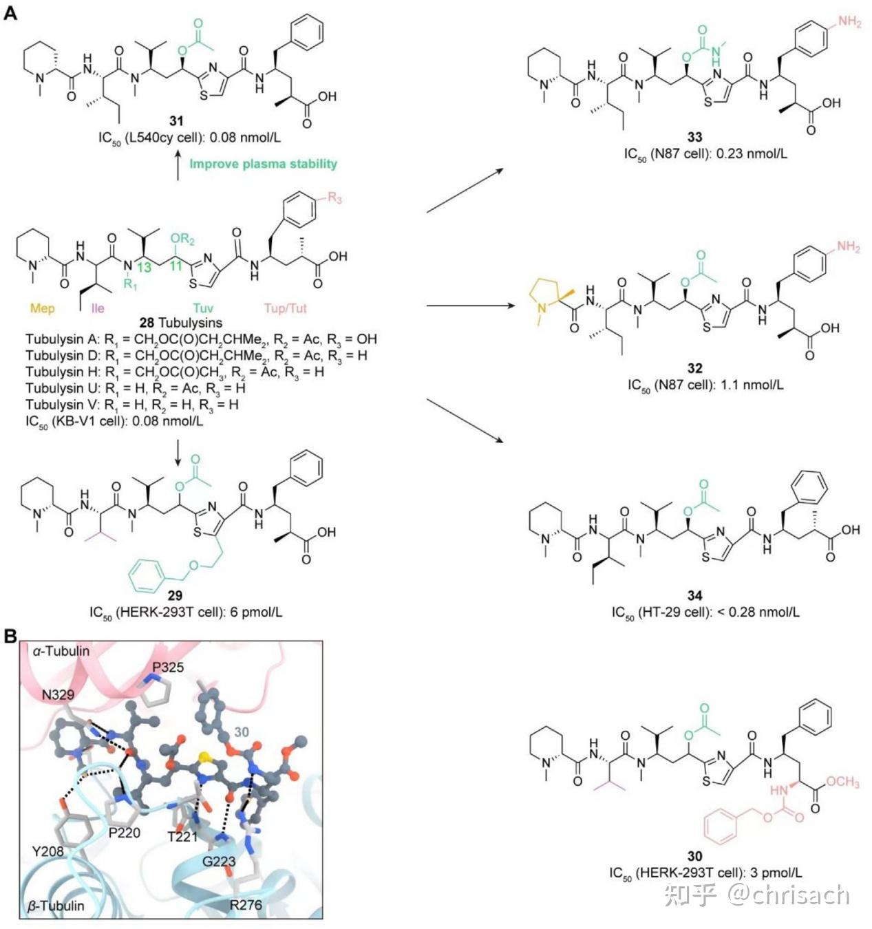 ADC药物Payload详解 - 知乎