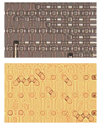 多图！今天聊聊Masked ROM - 知乎