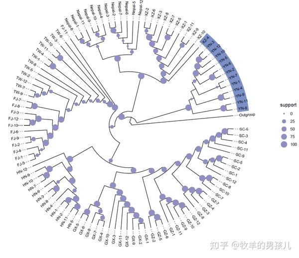 跟着Nature Plants学作图：R语言ggtree包展示进化树 - 知乎