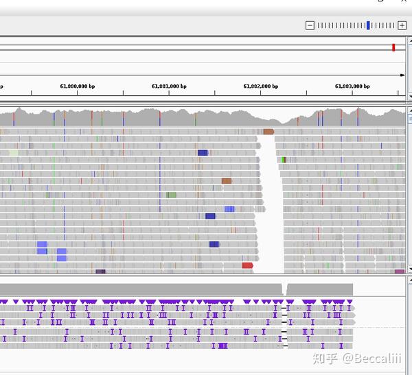 服务器安装IGV并在本地电脑使用 - 知乎