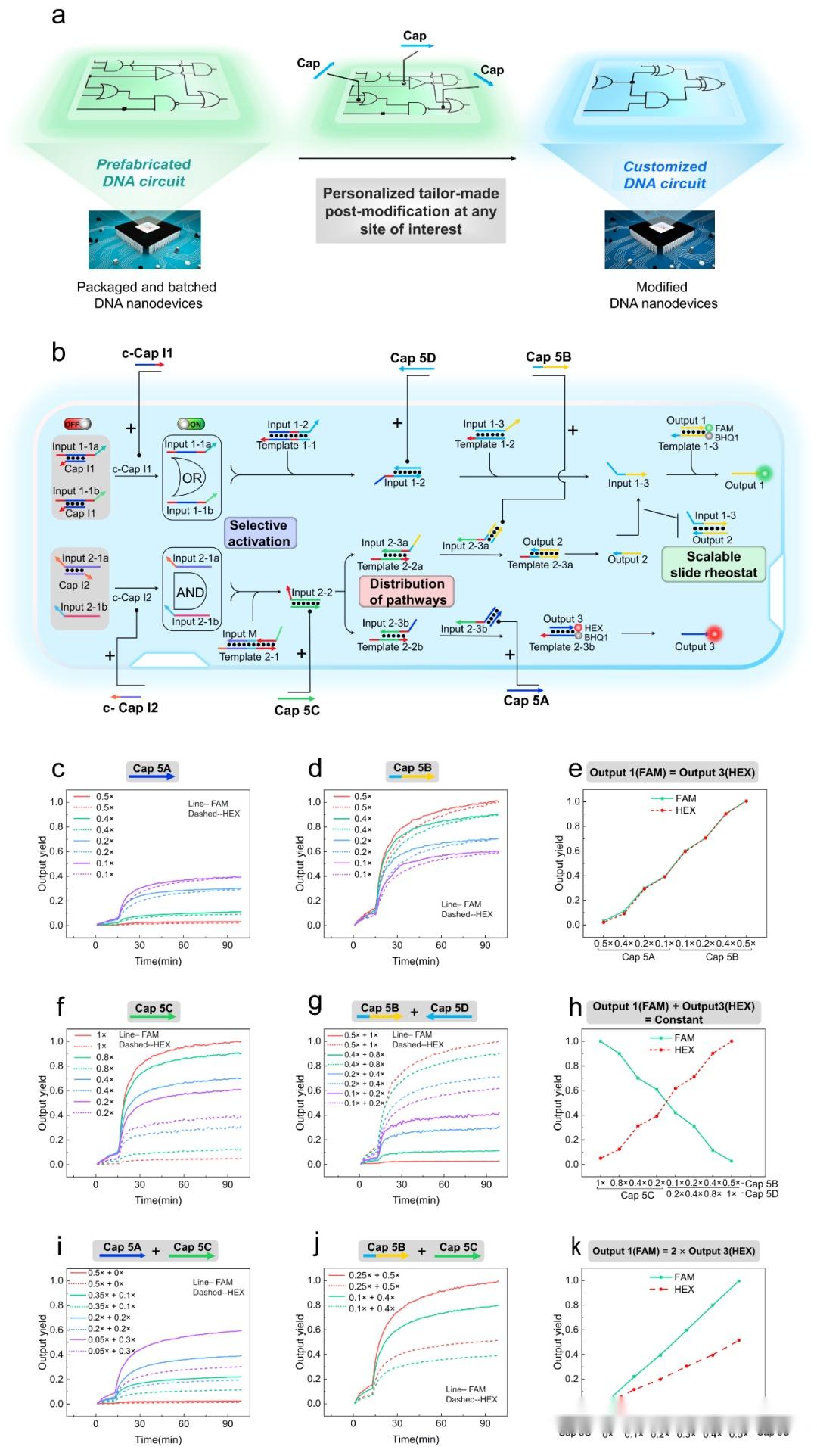 NAR︱华中科技大学肖先金团队开发Cap工具实现DNA纳米装置的个性化后修饰 - 知乎