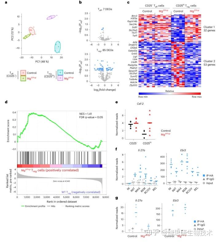 小胶质细胞通过MHCII和IFNγ信号影响Treg细胞参与EAE发生发展 - 知乎