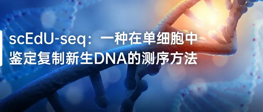 scEdU-seq：一种在单细胞中鉴定复制新生DNA的测序方法 - 知乎